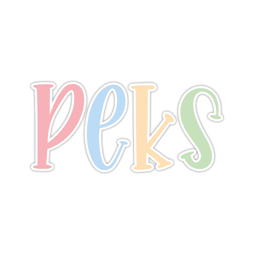 Digital Network - PEKS World School